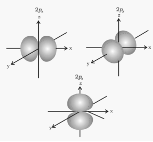 Shapes of atomic orbitals