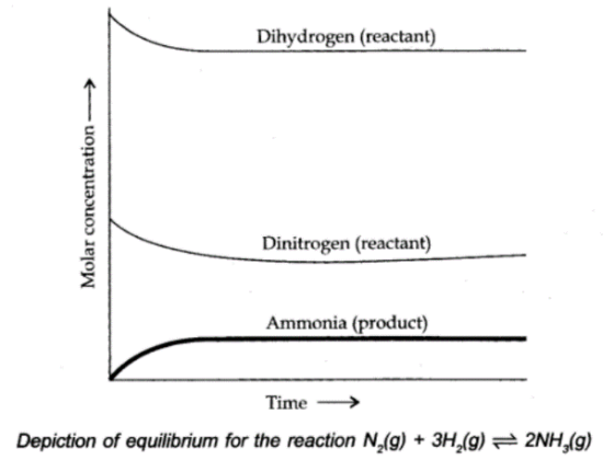 Chemical Processes & Reversible Reaction